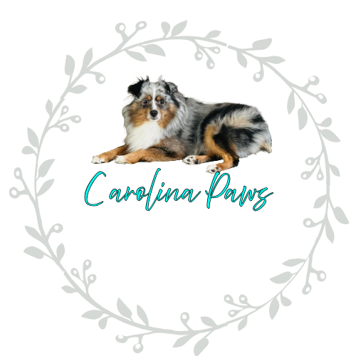 Dog Grooming – Carolina Farms